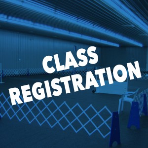 Class Registration Graphic | Up Front Obedience School and Dog Center ...